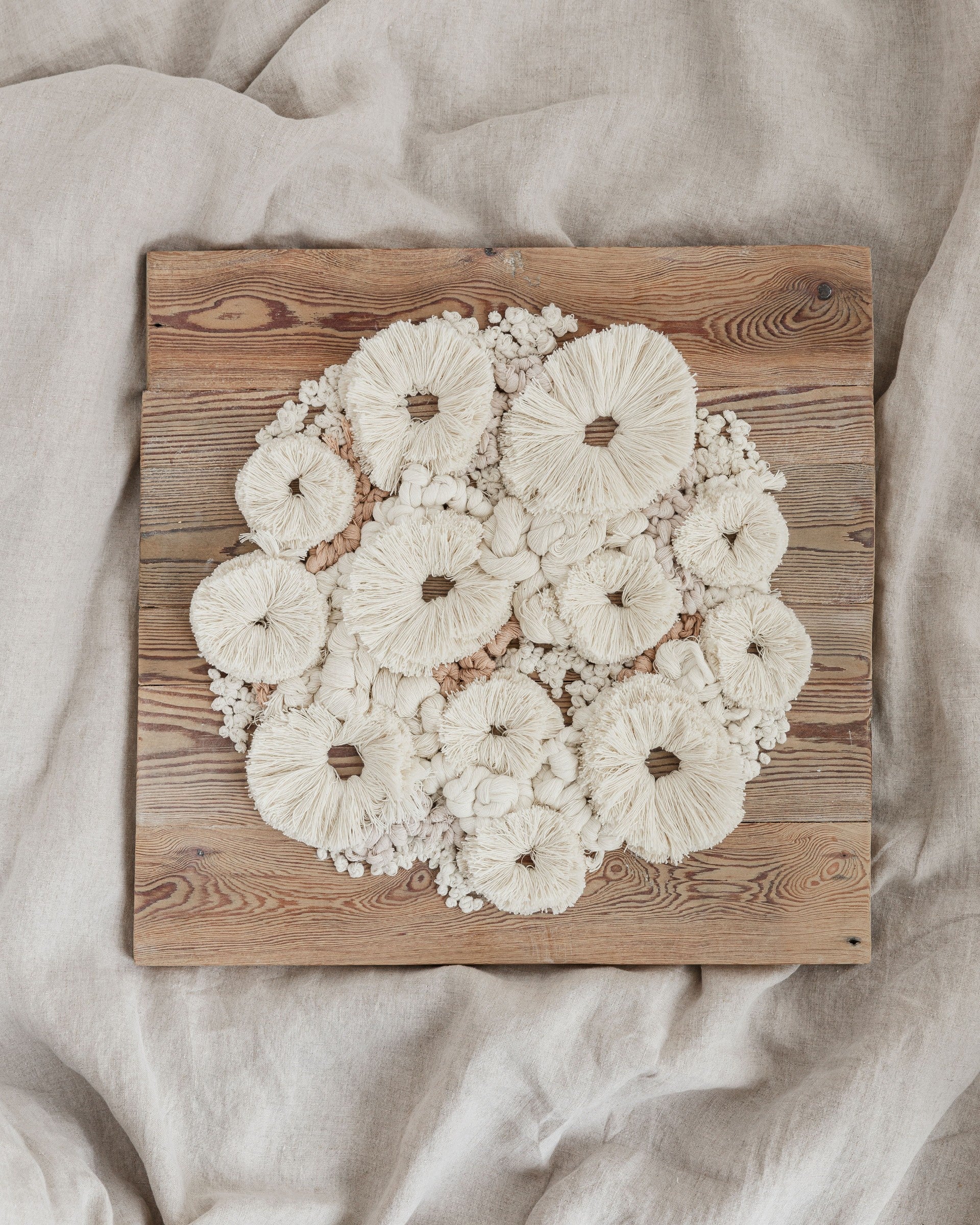 Limpet Cluster – Create Cornwall