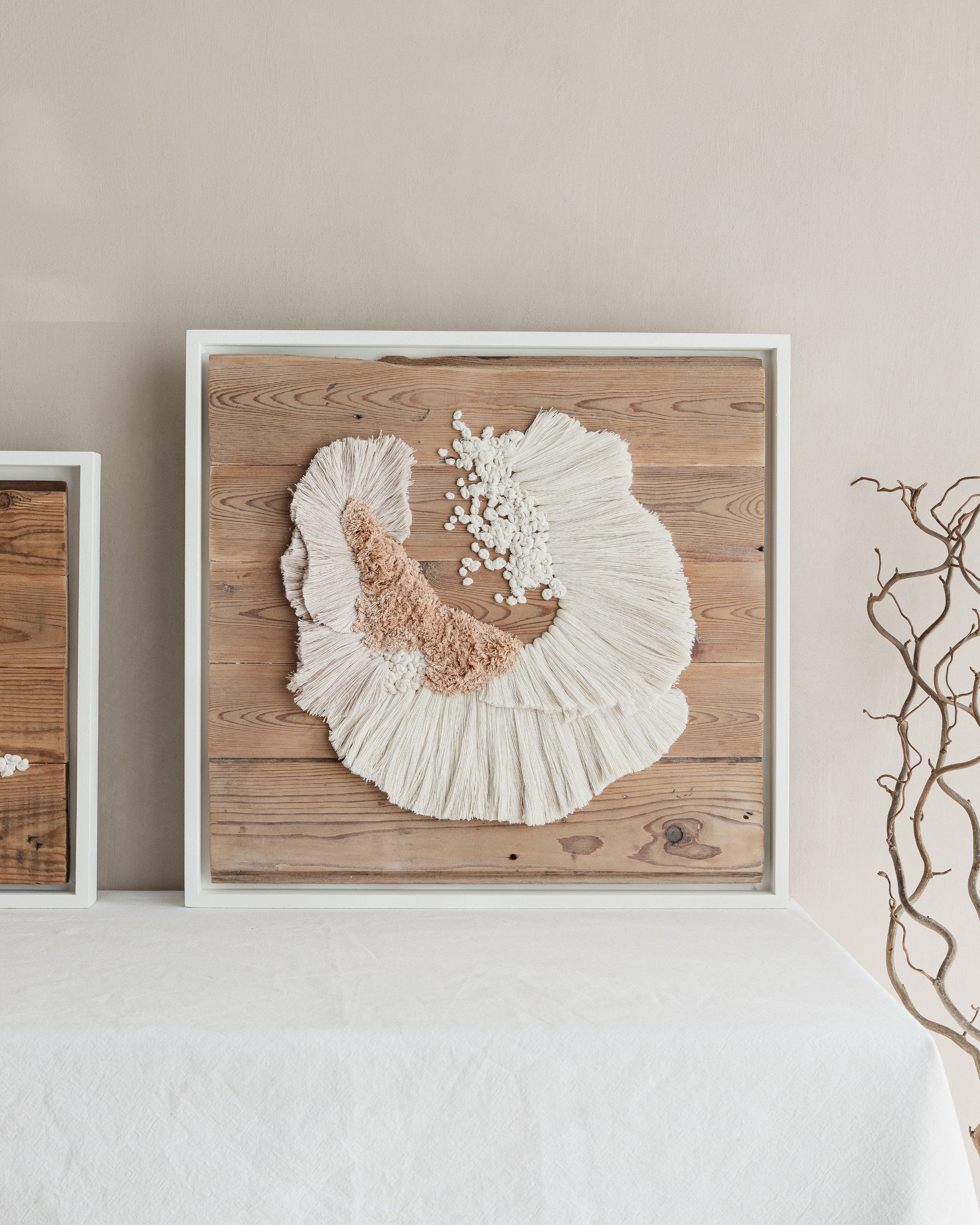 Rockpool Round II – Create Cornwall