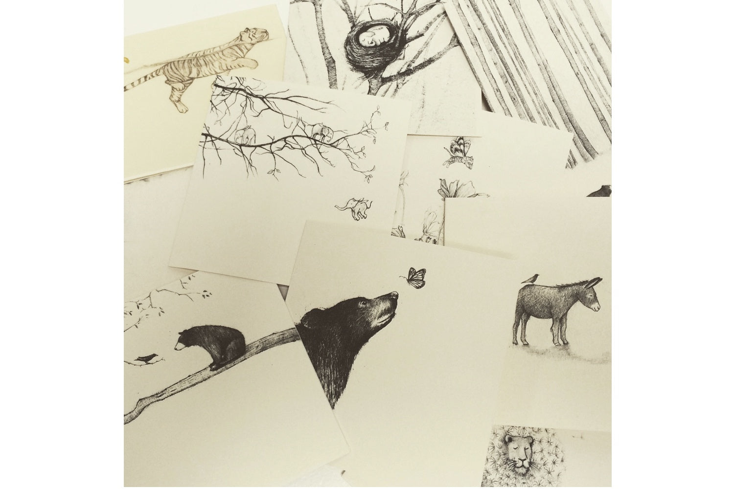 Esther Connon Cards – Create Cornwall