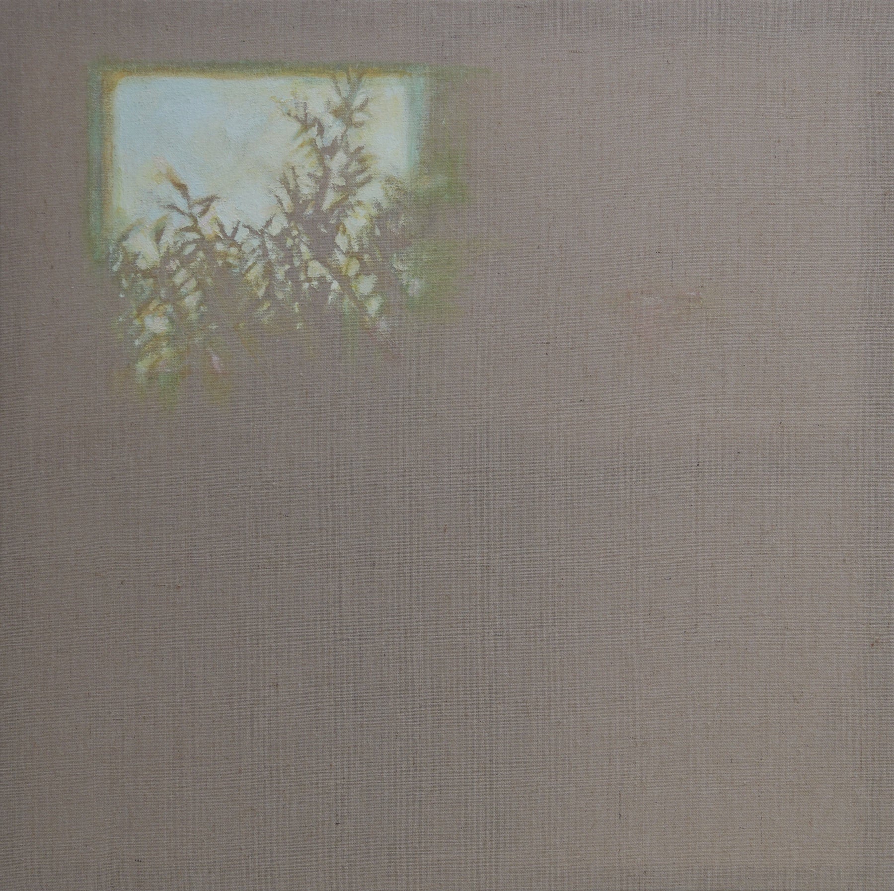 The Large Light Patch – Create Cornwall